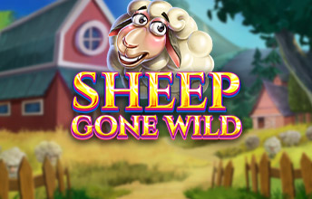 The Best Online Casino Games | Play at NordicAutomaten