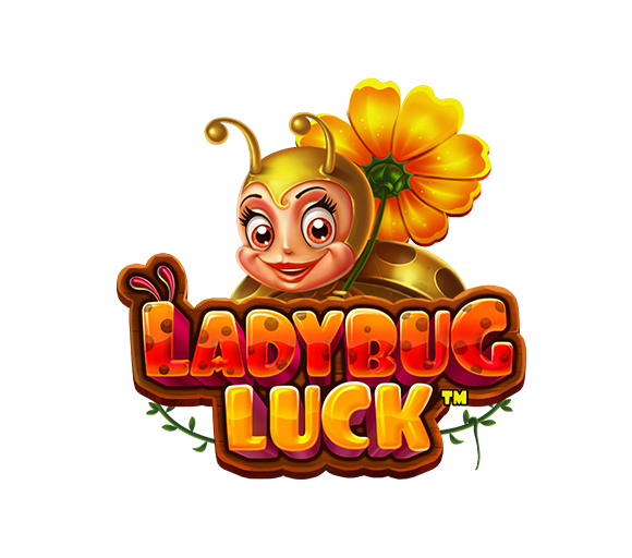 Casinò Online: Trova tutti i grandi giochi su StarCasinò