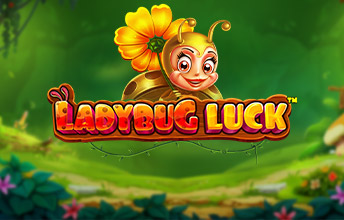 Online Slots | Play Casino Slots at NordicAutomaten