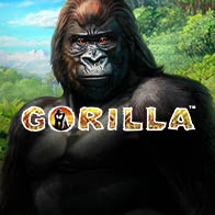 Gorilla Slot Machine | Gioca su StarCasinò