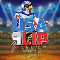 USA Flip